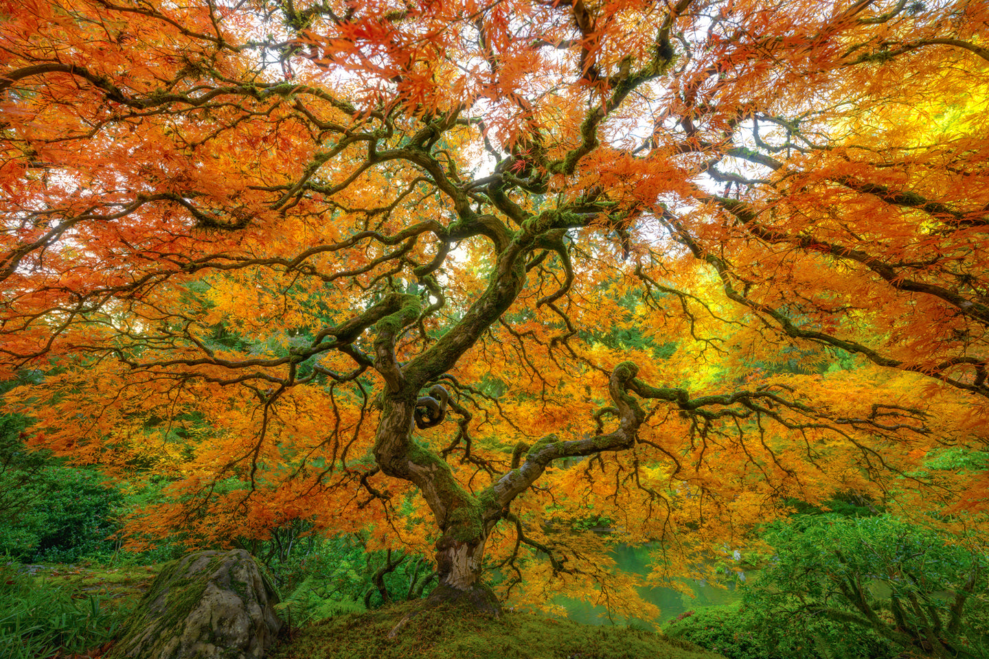 FALL COLOR – J. Burke Photos